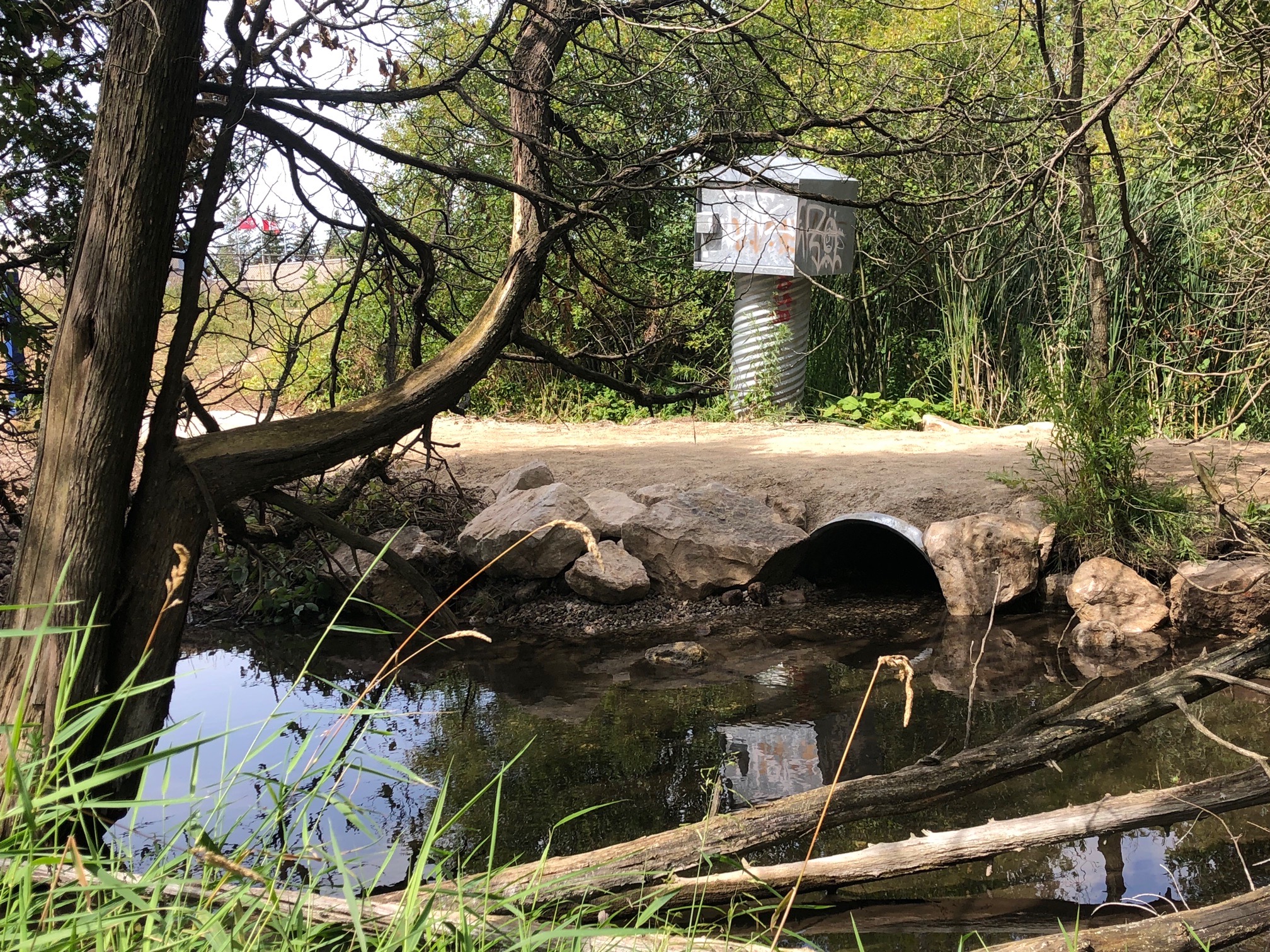 IMG_3055 – FISH CULVERT COULOIR POUR POISSON